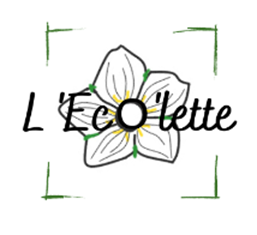 Les visuels de la programmation d'automne... | My Website